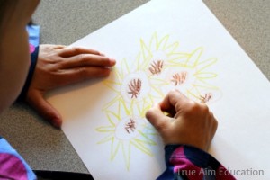 Sunflower Art Project & Unit Study | True Aim