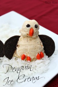 Ice Cream Penguin Treat | True Aim