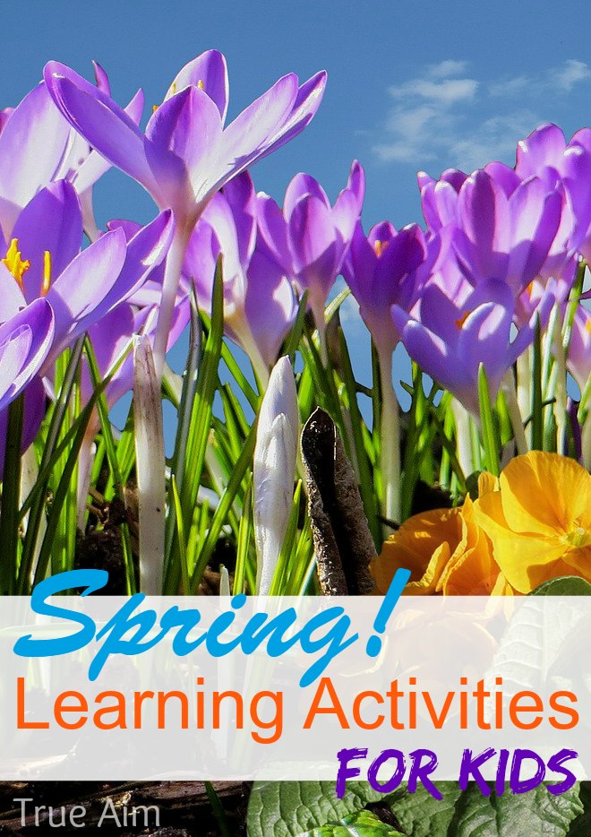Spring Learning Activities For Kids True Aim